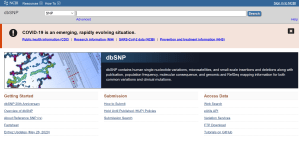 SNP数据库 – dbSNP – GWASLab – GWAS实验室
