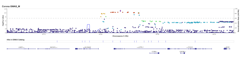 使用LocusZoom绘制Regional plot详解 – GWAS可视化 – GWASLab – GWAS实验室