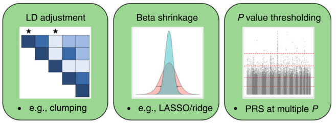多基因风险分数 PRS( Polygenic risk score)系列之一：概念入门 – GWASLab – GWAS实验室