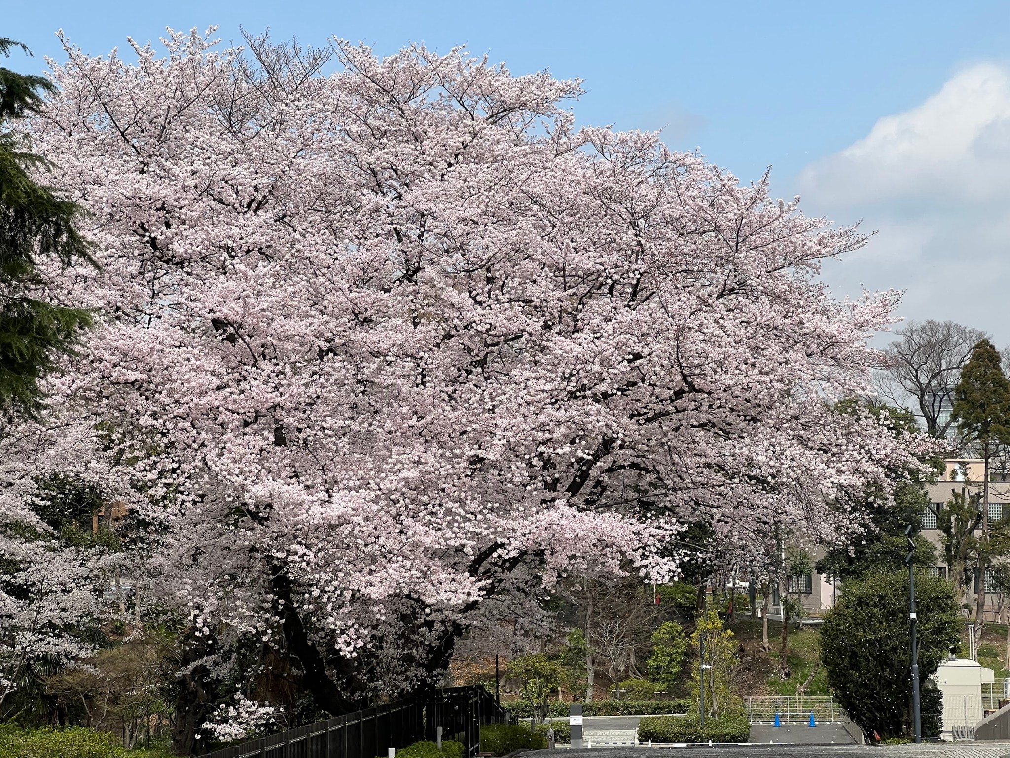 关于 – About GWASLab – GWASLab – GWAS实验室