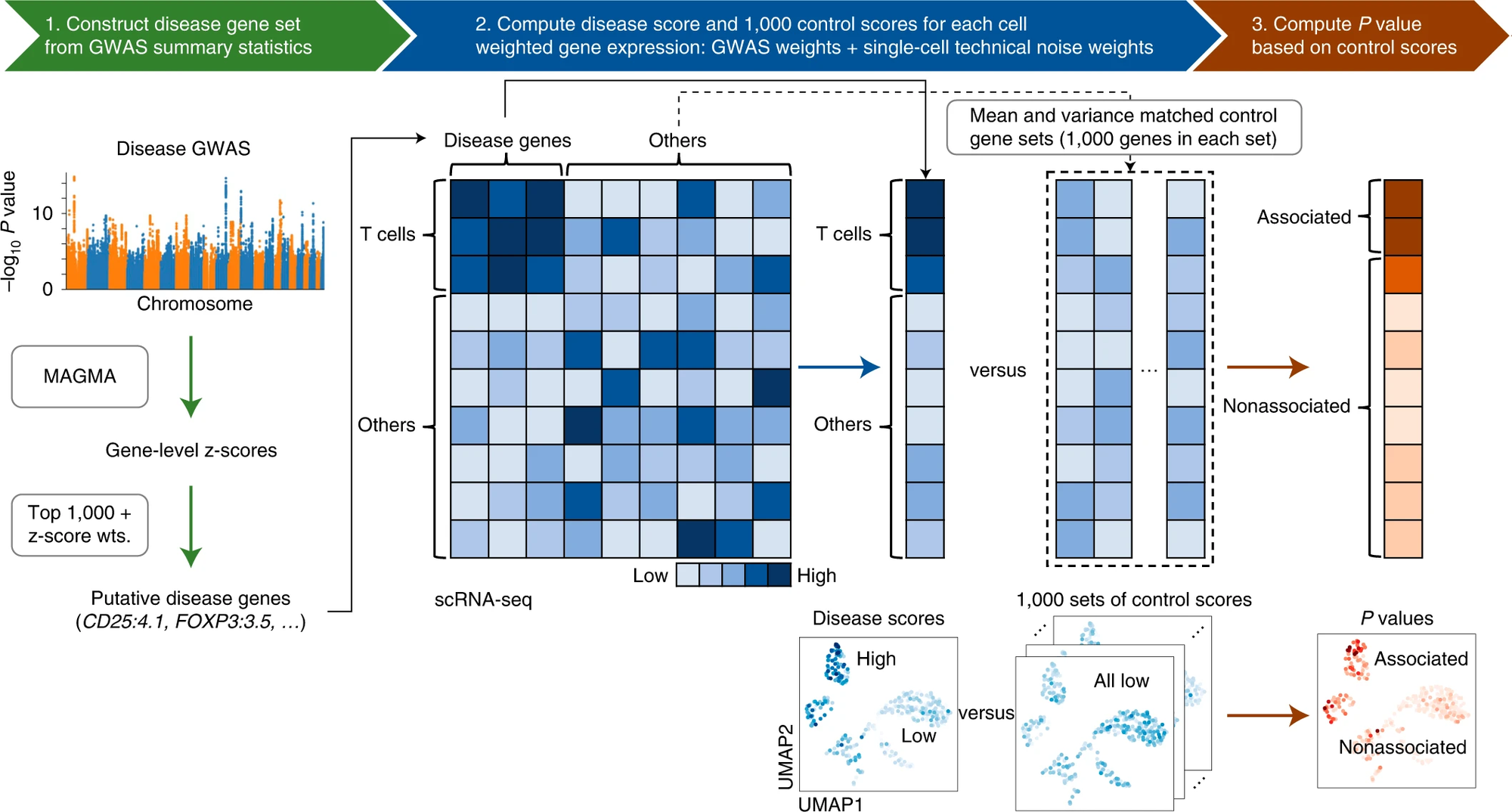 GWAS 全基因组关联分析 – GWASLab – GWAS实验室